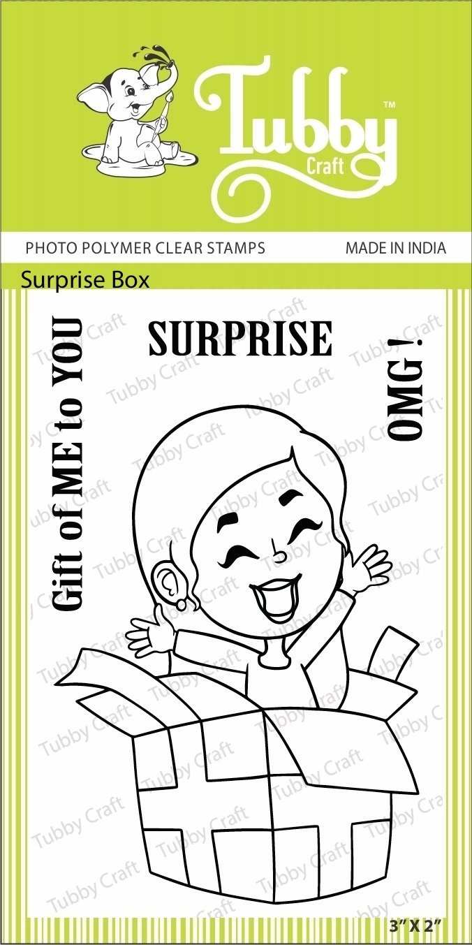 Surprise Box – tubbycraft